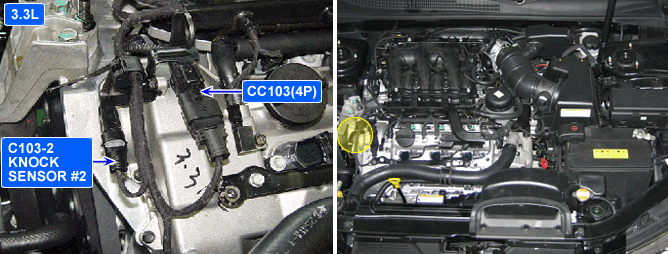 AutoHex Online Help: Hyundai SONATA(NF) 2006 Fault Code: p0330