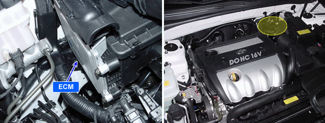 AutoHex Online Help: Hyundai SONATA(NF) 2005 Fault Code: p1699