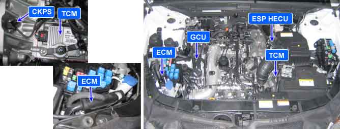 AutoHex Online Help: Hyundai VERACRUZ/ix55(EN) 2008 Fault Code: u0101