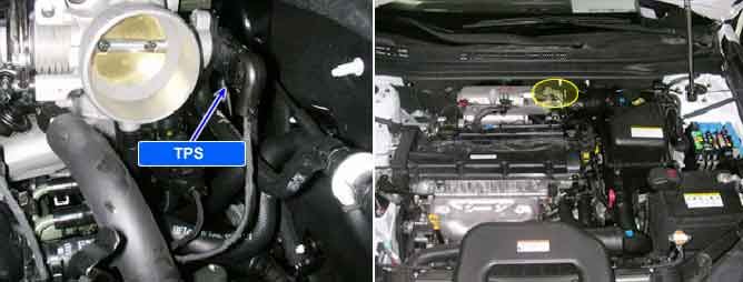 AutoHex Online Help: Hyundai i30(FDe) 2010 Fault Code: p0123